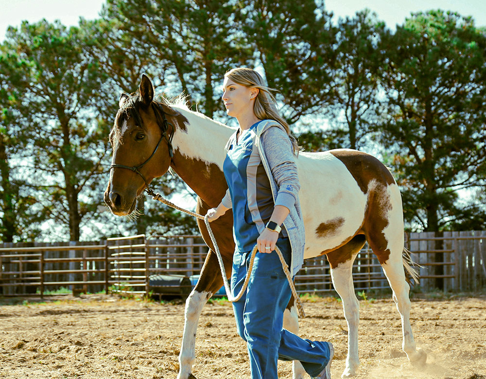 Join The Heartland Team | Heartland Veterinary Partners