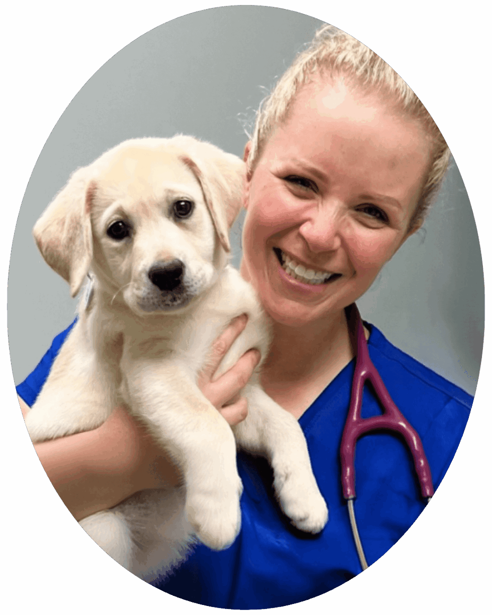 Veterinary Partnerships | Heartland Veterinary Partners